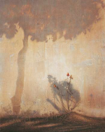 Geschmackssachen.: Fulvio Rinaldi - das kann man schon noch malen.