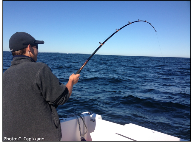 Global Explorers Blog