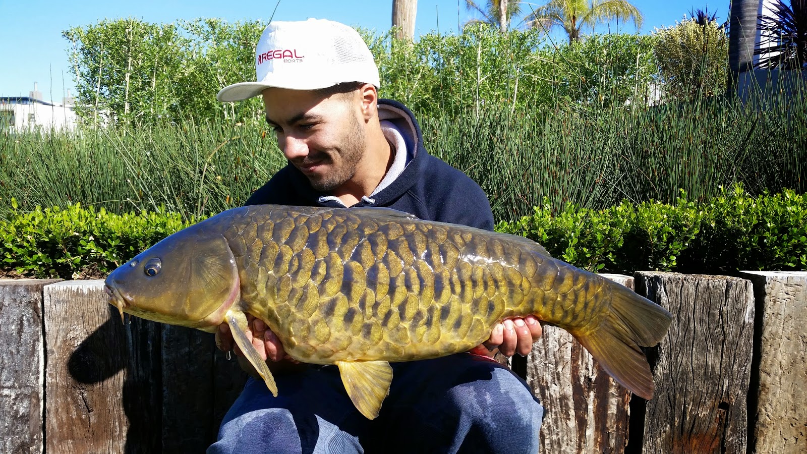 Carp Life with Chris Leon