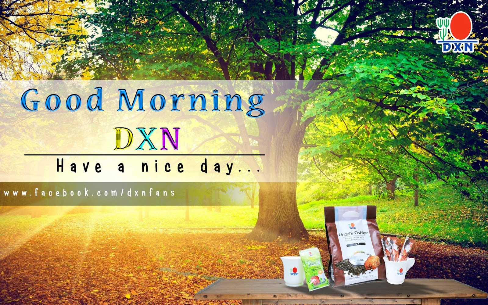 Welcome to the DXN Fans Blog