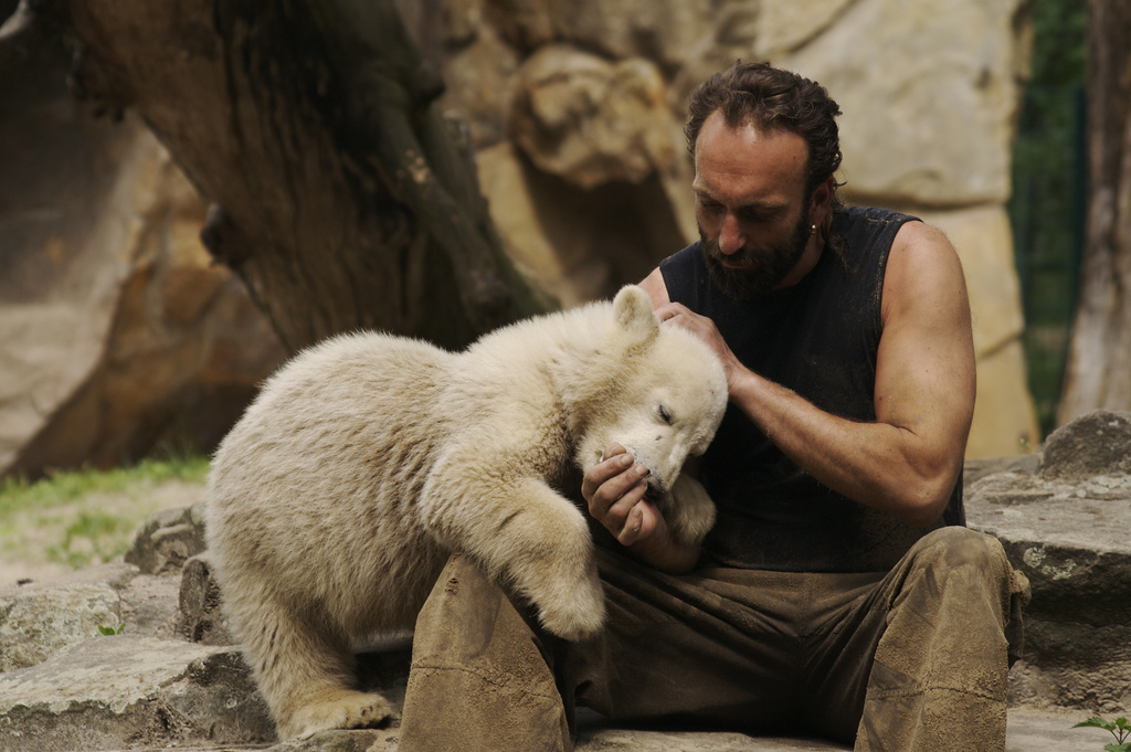 art monad - アート: RIP Knut and Thomas