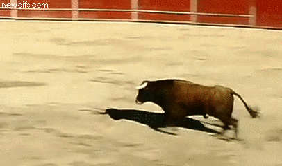 EKOGEO: BANTENG : SAPI LIAR DARI ASIA TENGGARA