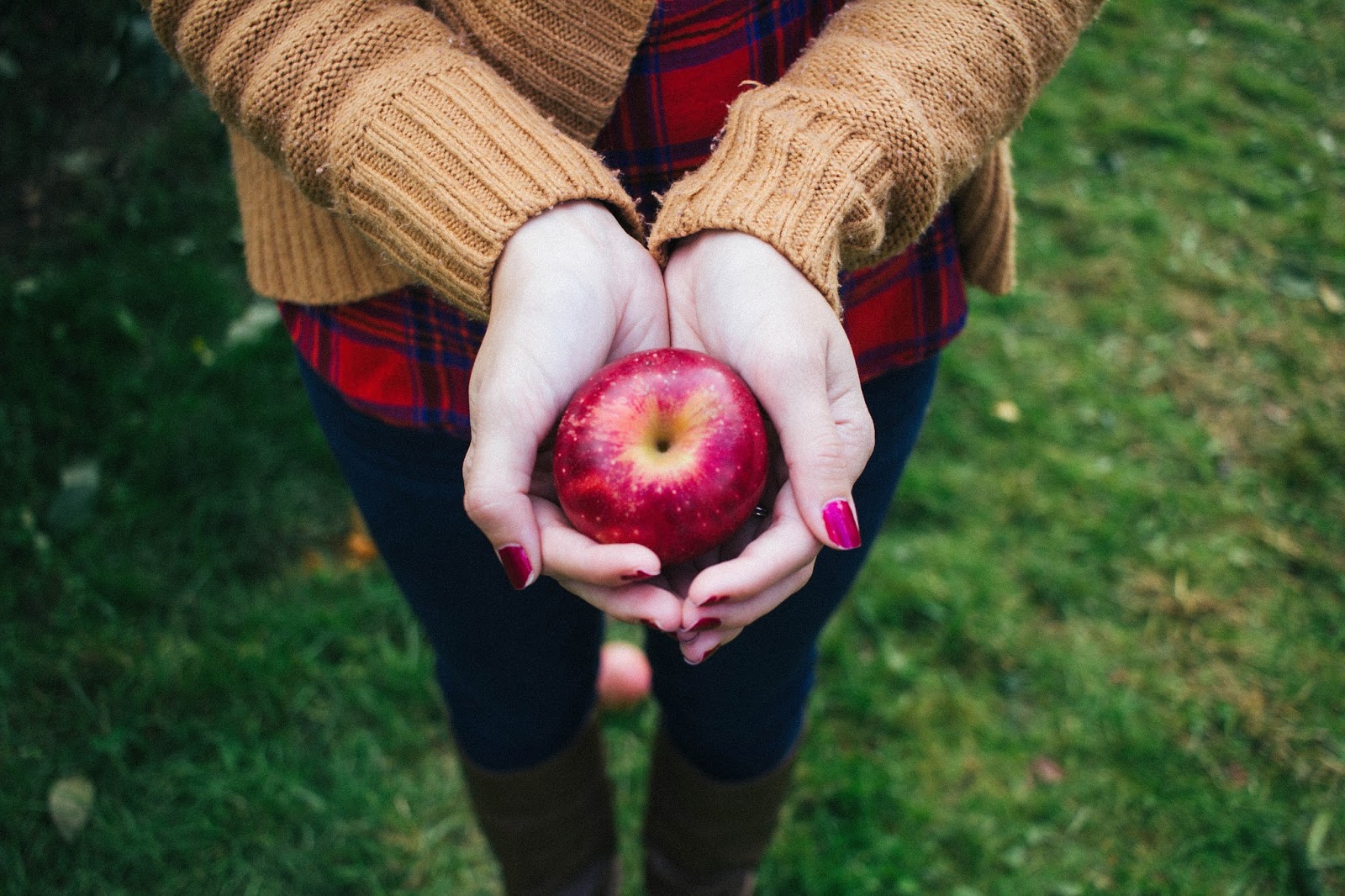 Sunday Afternoon Apple Picking
