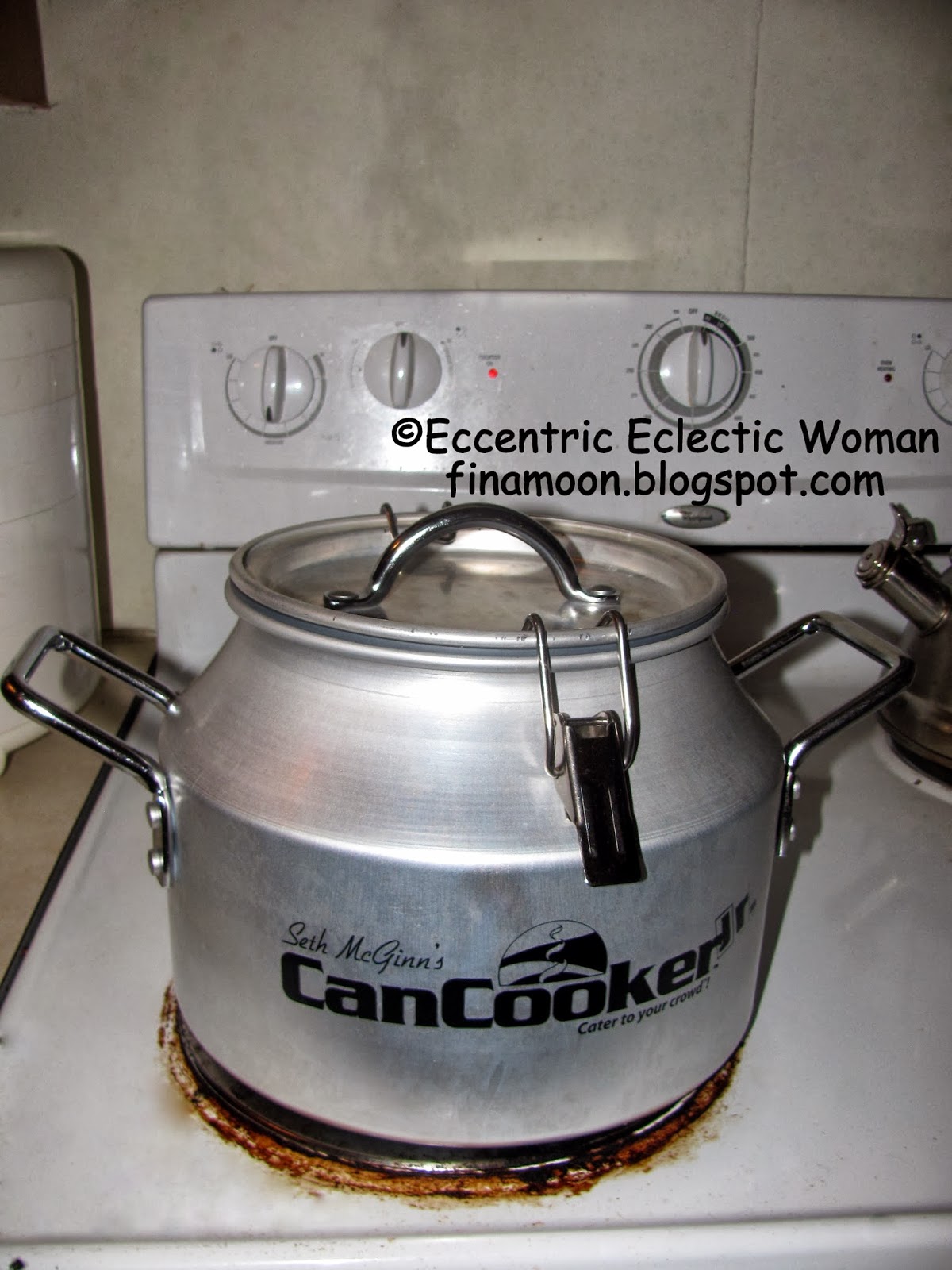 Eccentric Eclectic Woman: CanCooker Jr. Review