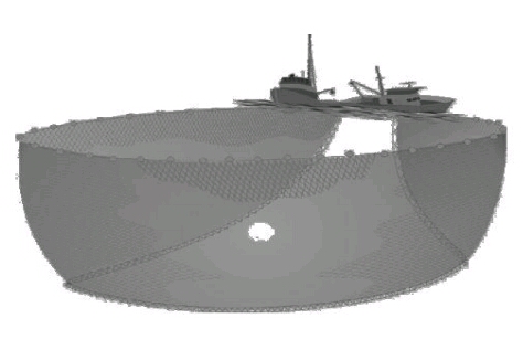 Alat Tangkap Ikan Jaring lingkar (surrounding nets) - PERIKANANKU