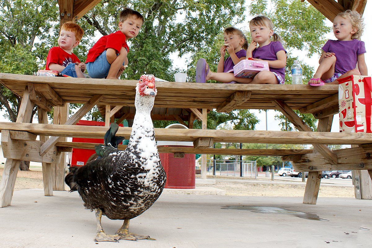 wilkinsonquints: Field Trip Friday--D