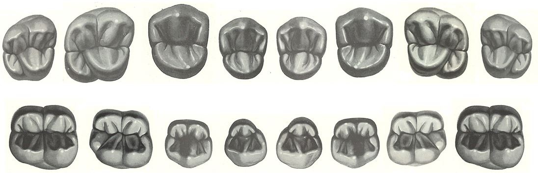 Come funziona? Info Tecnico Commerciali per il Personale di Vendita ...