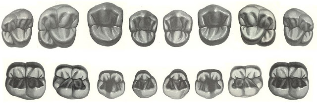 Come funziona? Info Tecnico Commerciali per il Personale di Vendita ...