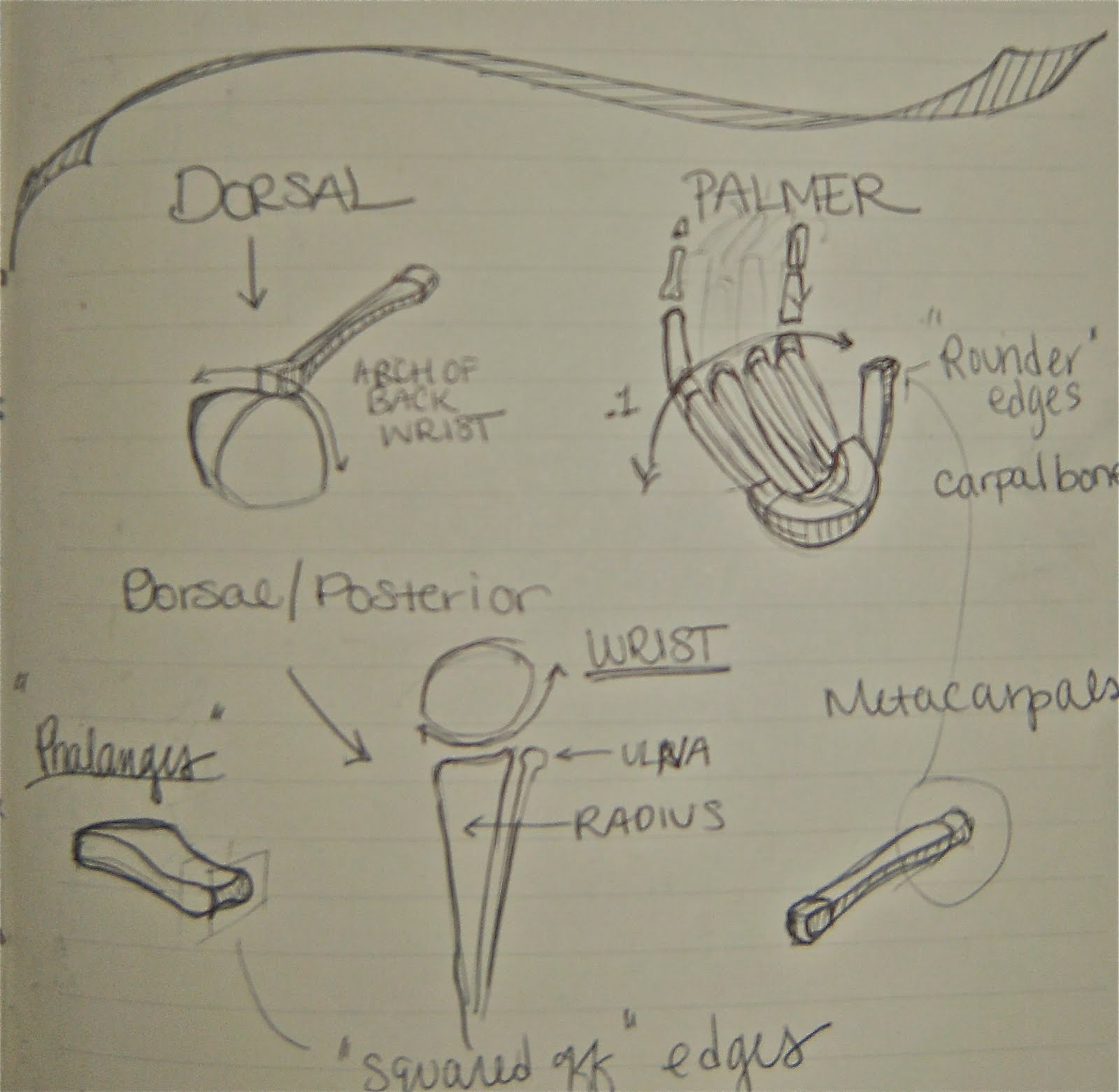 ruah: life drawing I