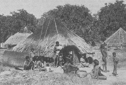 Nomadic Tribe- Chenchu