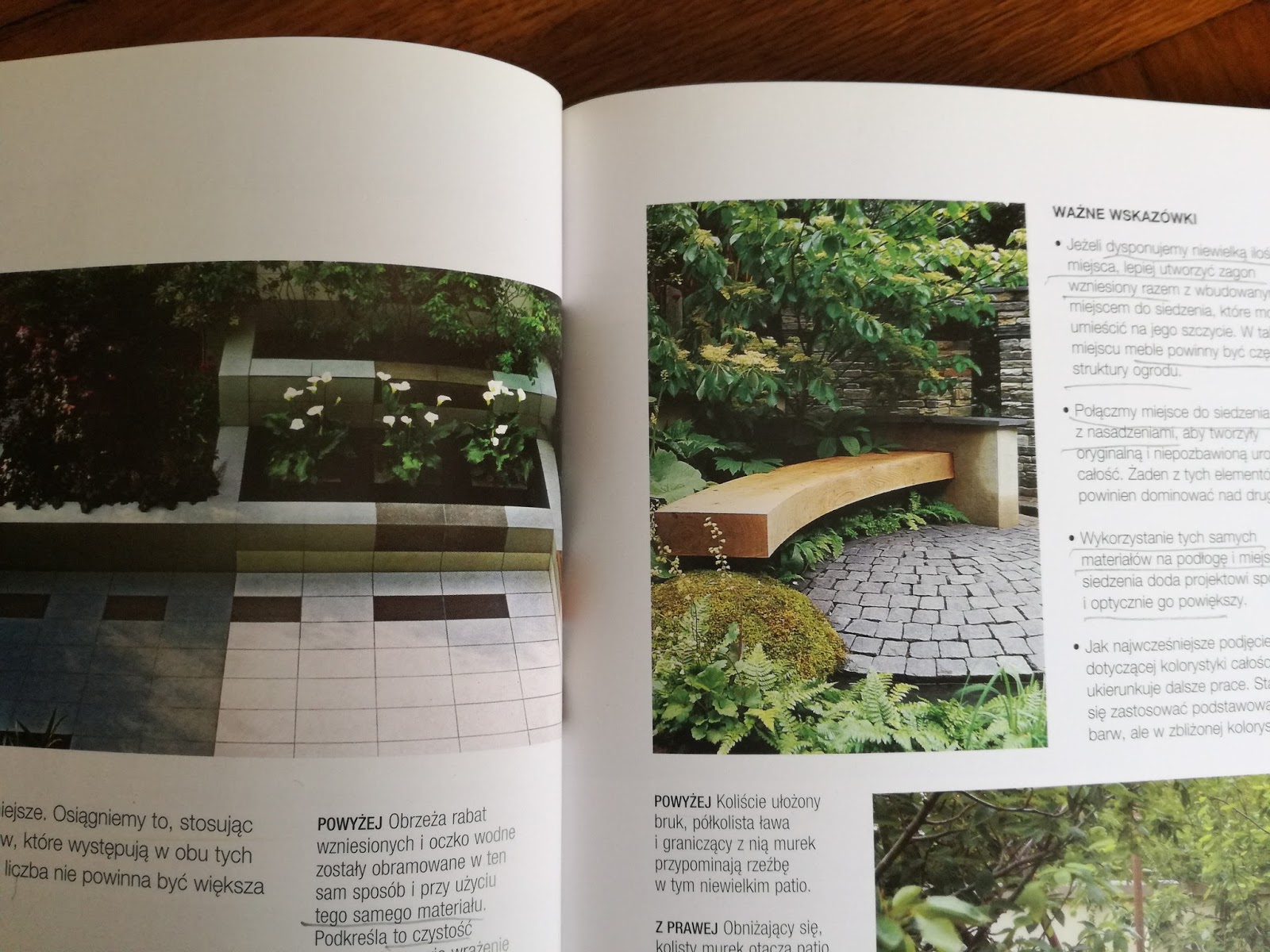 Ogród Tamaryszka: "MINIMUM PRZESTRZENI MAKSIMUM ZIELENI" ANDY STURGEON