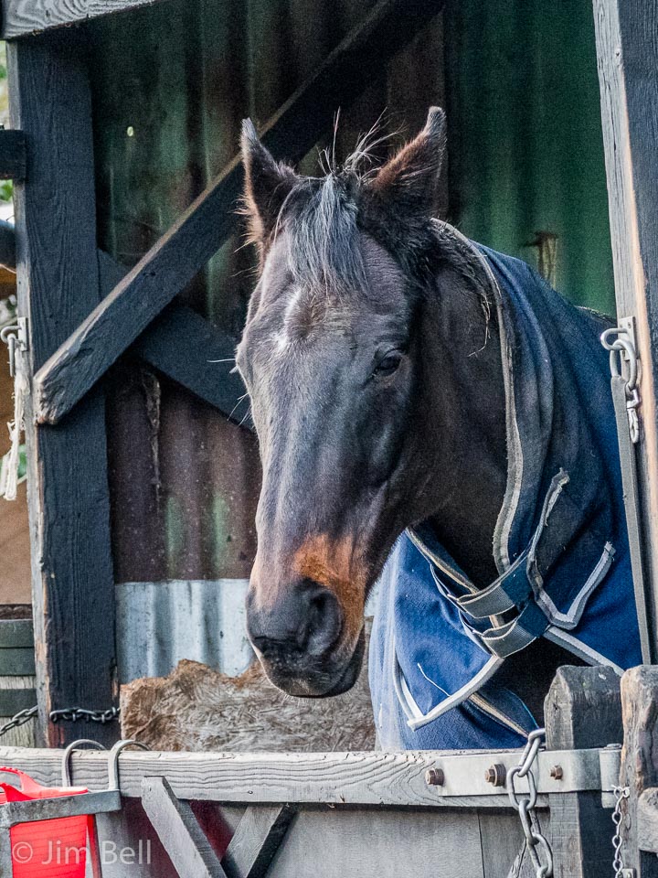 Out & About: Bakewell Station & Coombs Farm
