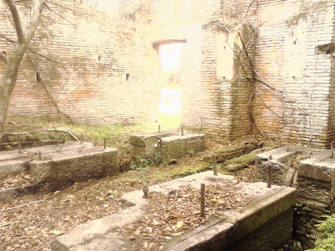 M´Bopicuá. un pasado, un presente y un futuro.......: Ruinas del Saladero