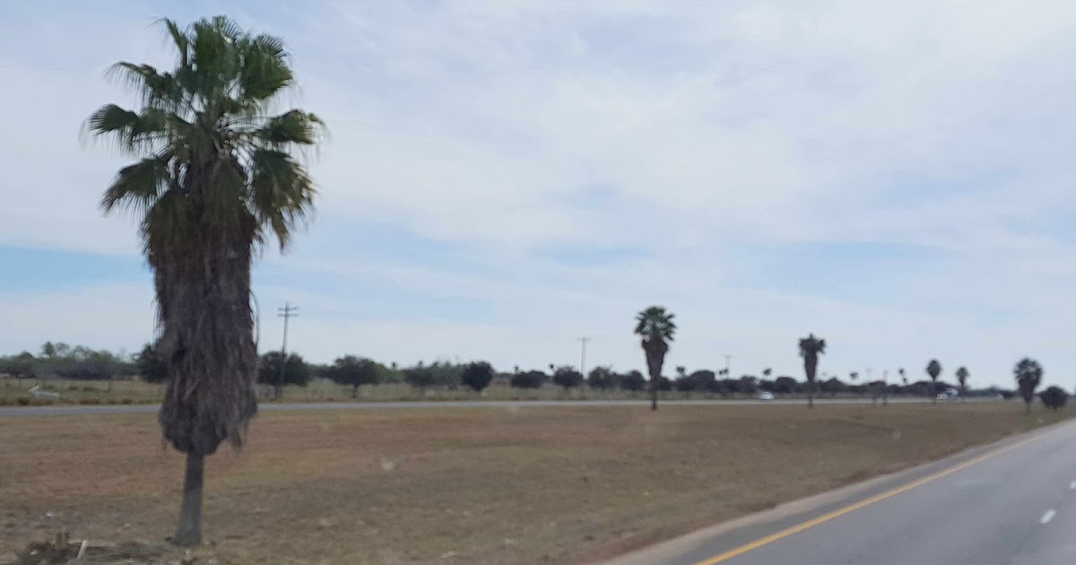 Wandering His Wonders: Welcome to the Rio Grande Valley!