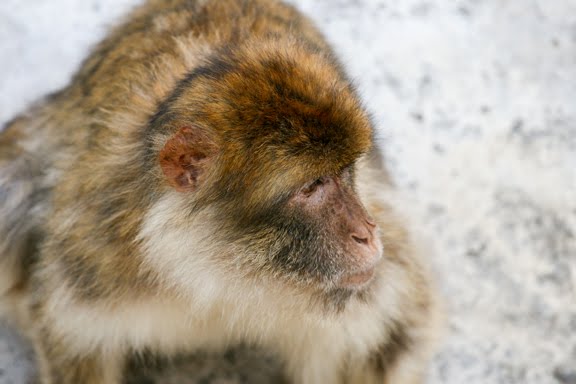 creative2 photography