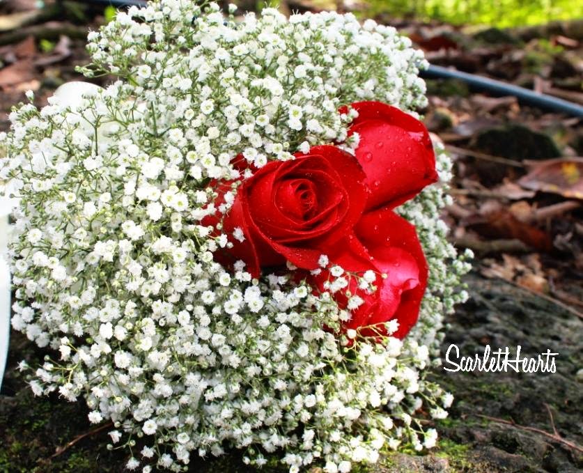 Bunga Tangan Rose + Baby Breath | CottonBunnys Florist