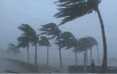 **MENSAGENS E GIFS DA TEKA**: VENTO E CHUVA