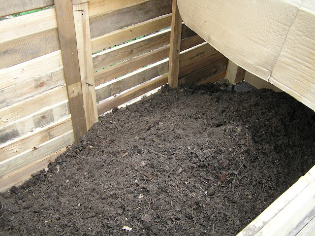 Ogród Tamaryszka: ZŁOTO OGRODNIKA czyli KOMPOST W MOJEJ WERSJI