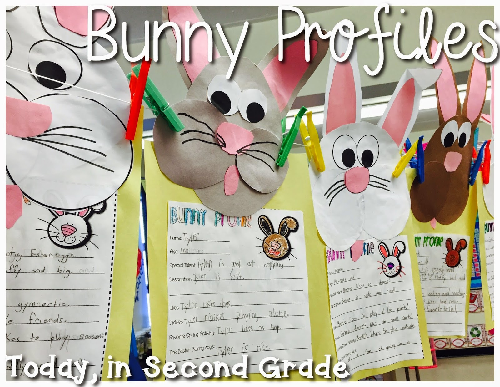 Bunny Profiles - Today in Second Grade