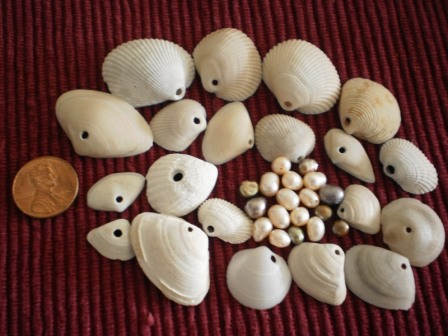 Quilt, Knit, Run, Sew: Pay it Forward Give-Away - Sea Shells for Crazy ...