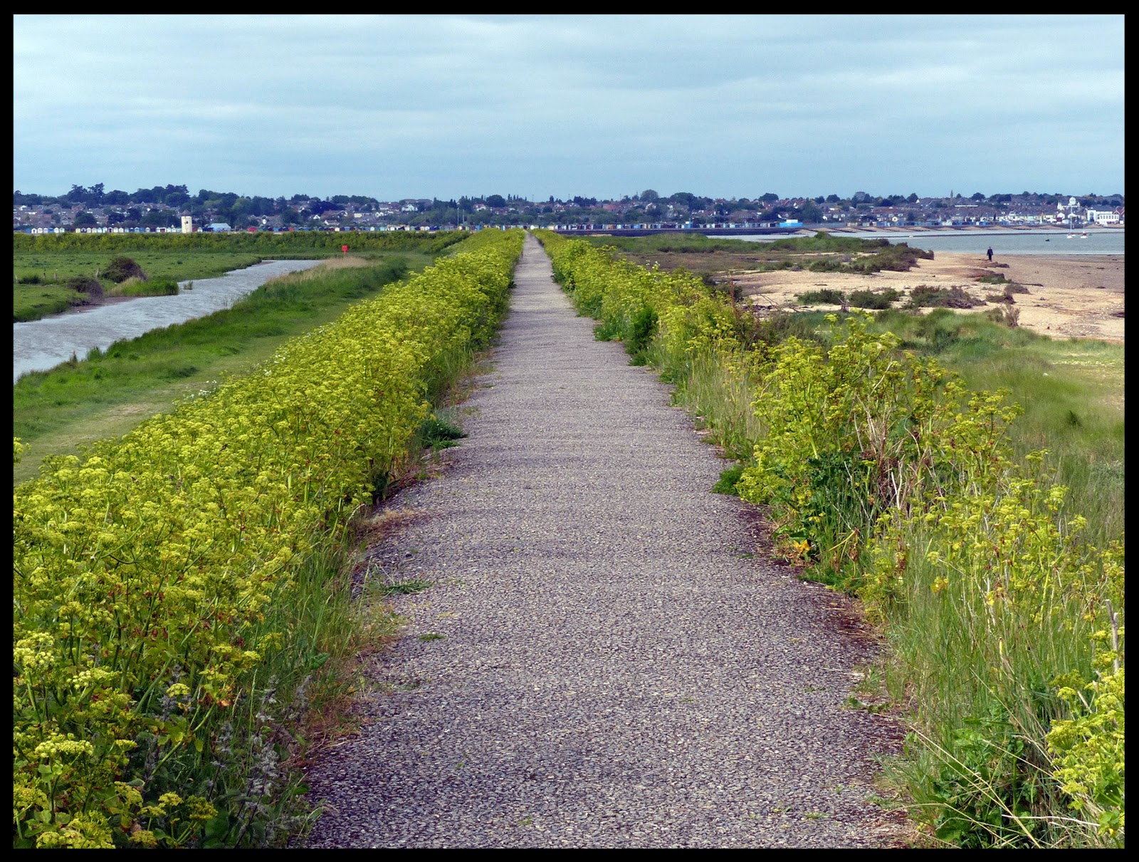 Wild and Wonderful: June 2013