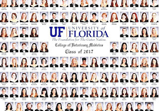 University Of Florida Alumni Association - University Of Florida Gifts