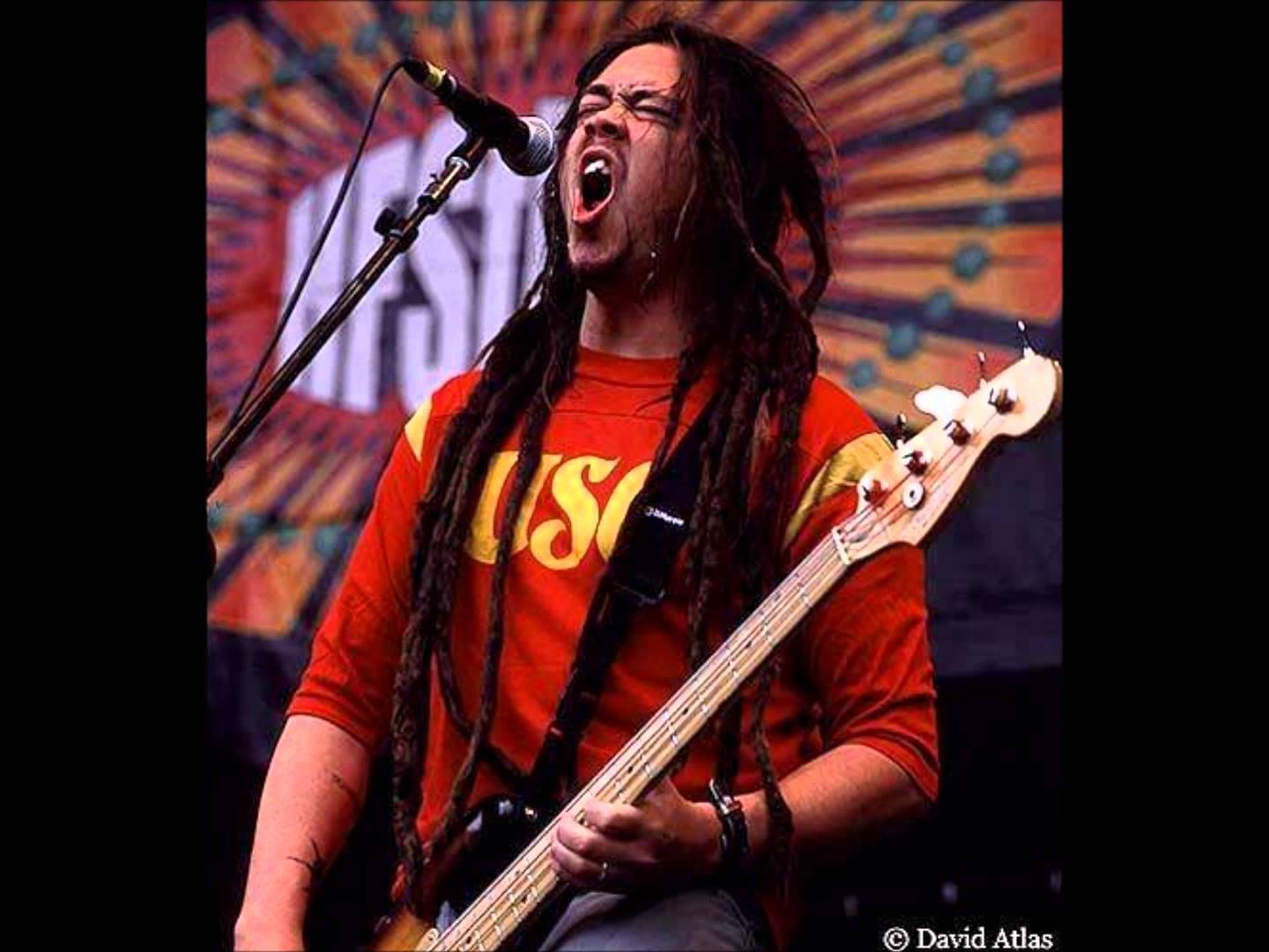 Chi Cheng (musician)