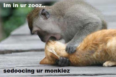 I am In Your Zoo, Seducing Your Monkie - Funny Cat Memes