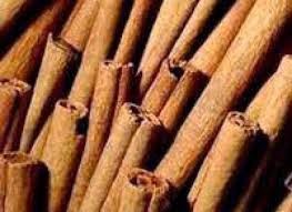 Scortisoara, un frumos arbore exotic