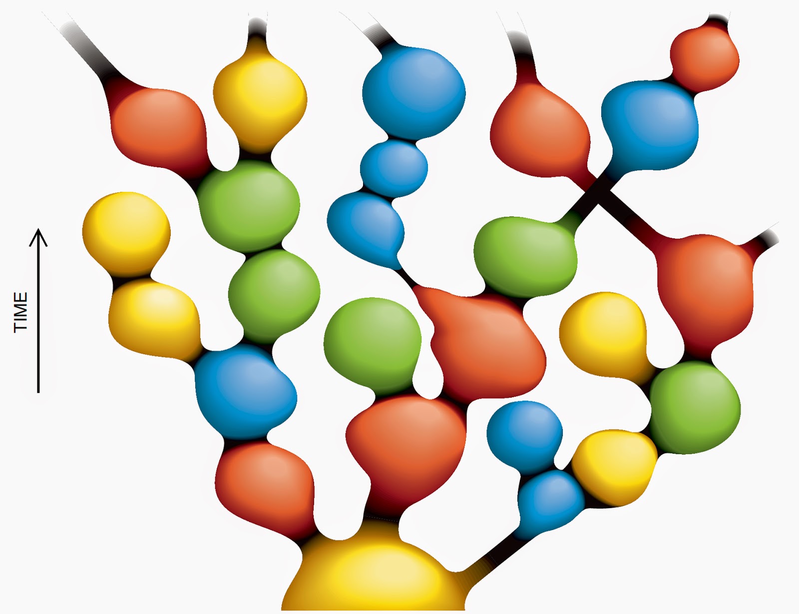 SoftwarePhysics: The Software Universe as an Implementation of the ...