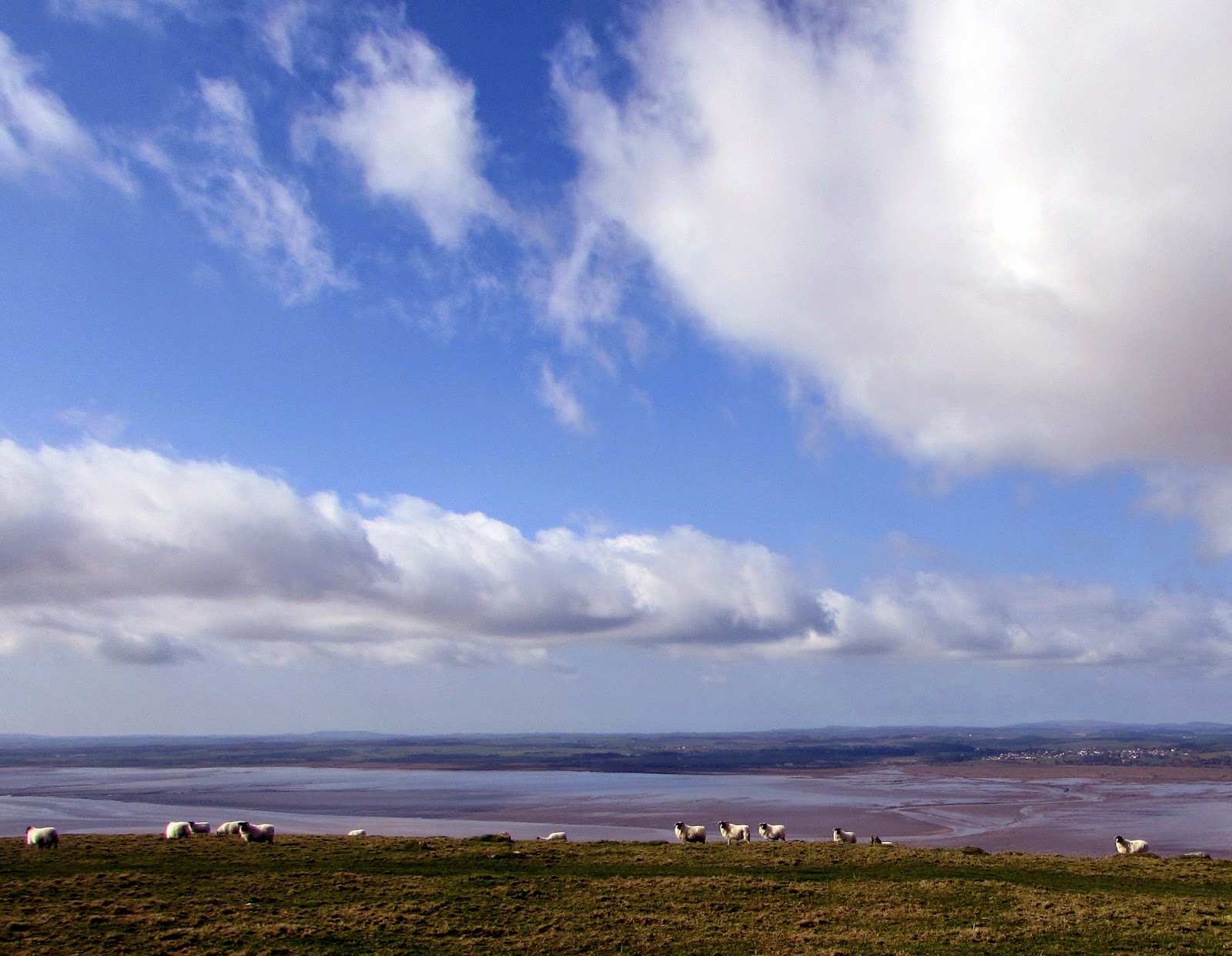 The Glebe Blog: Creetown to Kirkmabreck Quarry - Wigtown Walks and Talks