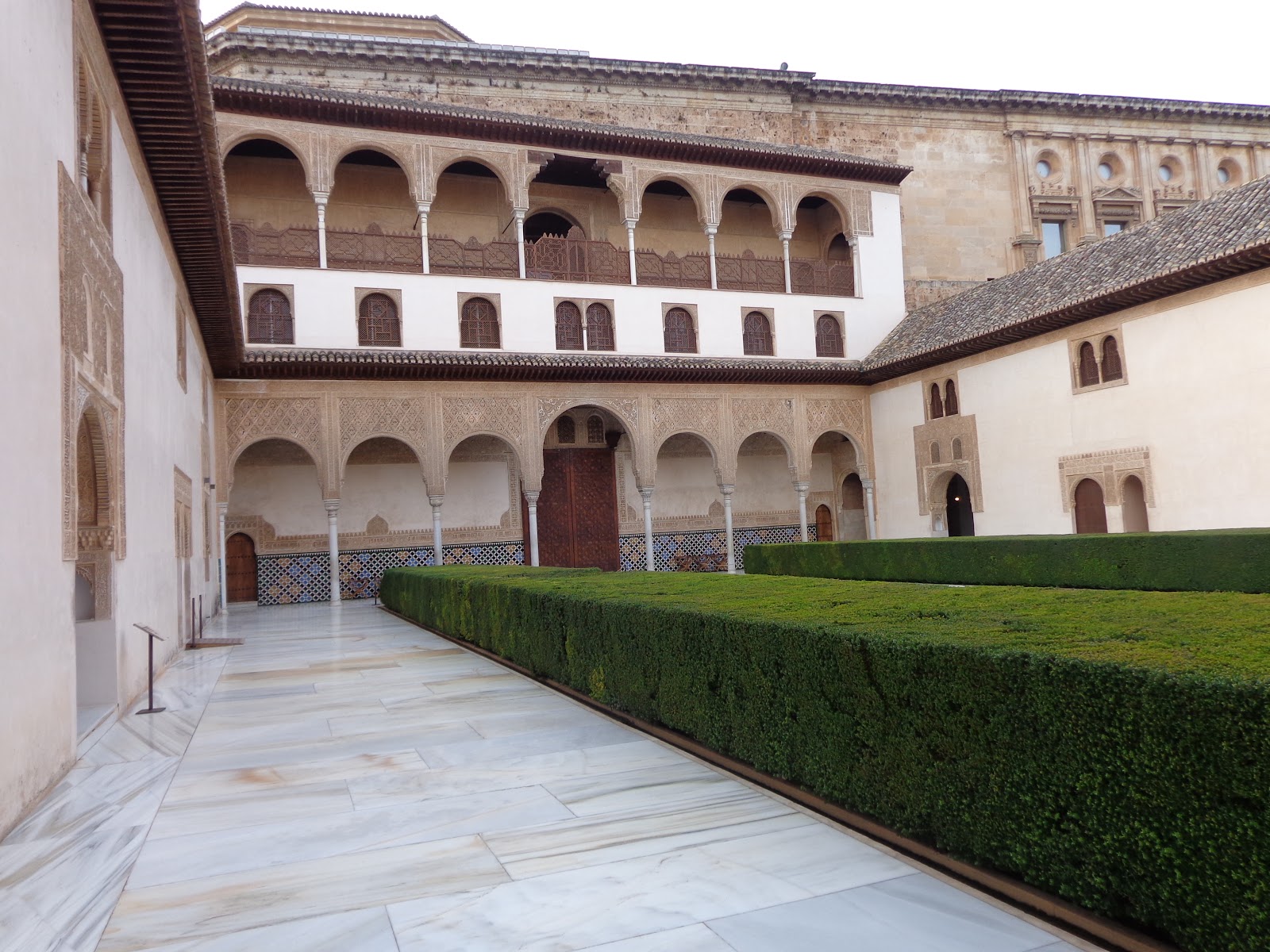 Jardín nazarí: Arrayán (Myrtus communis L.)