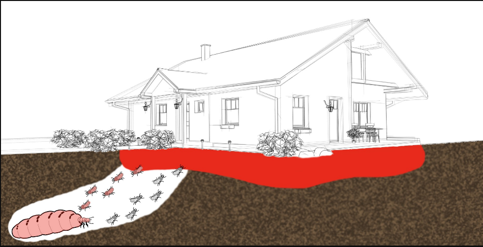 Pre Construction Termite Treatment | Dixon Pest Control - Termites