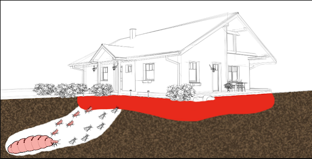 Pre Construction Termite Treatment | Dixon Pest Control - Termites