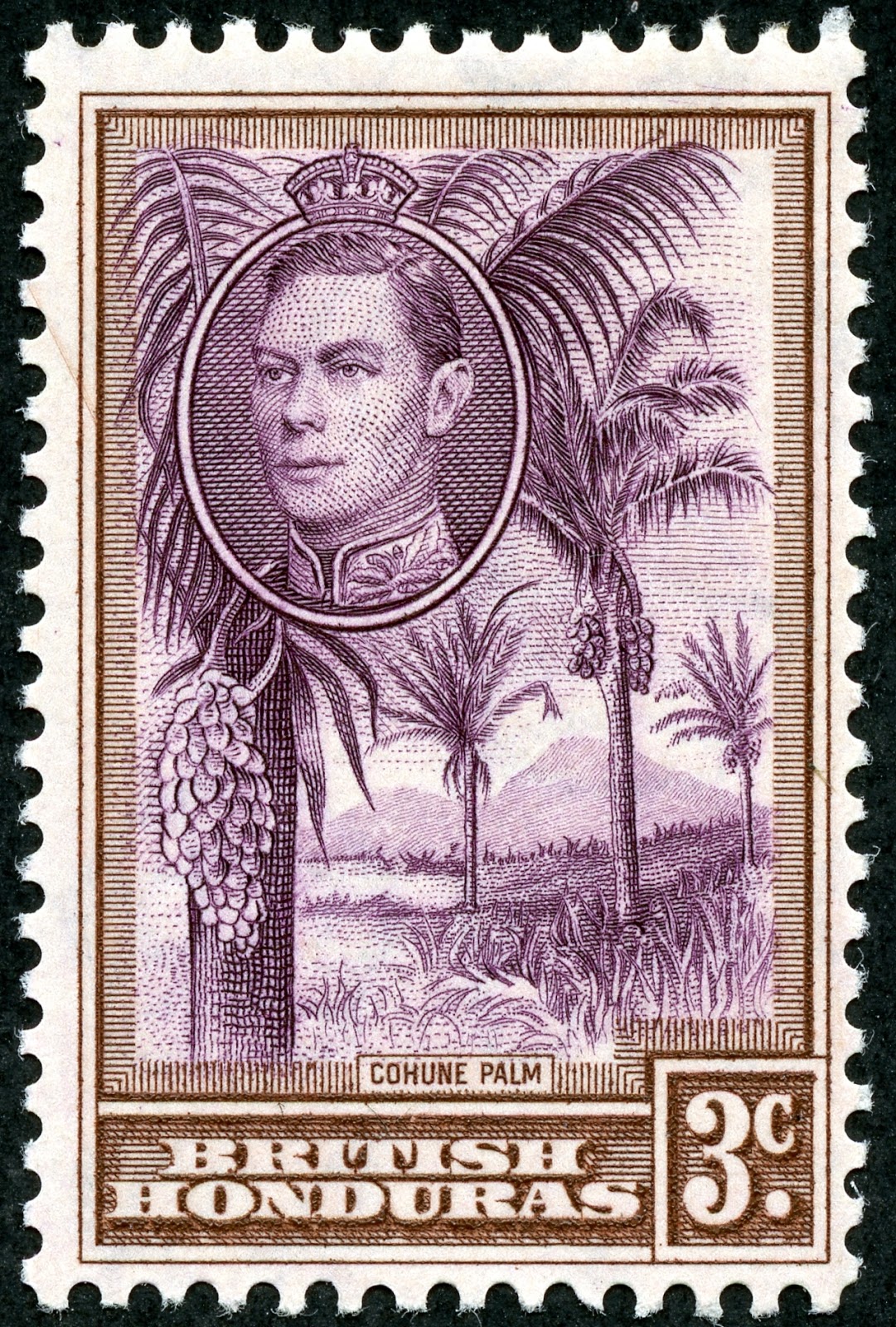 Big Blue 1840-1940: British Honduras Pt B - a closer look