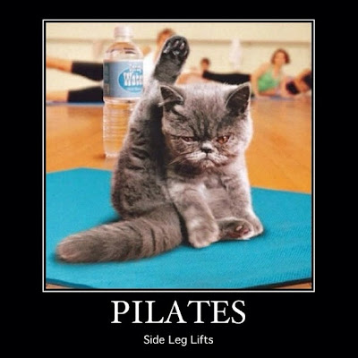 TRABALHANDO COM PILATES: Pilates com humor n22