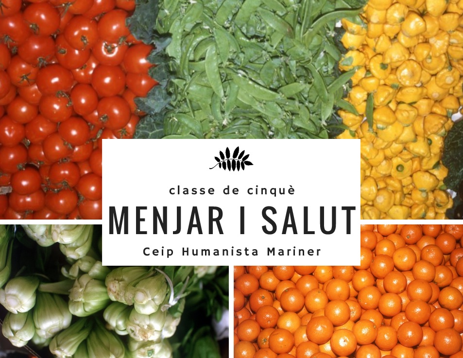 MENJARS SALUDABLES