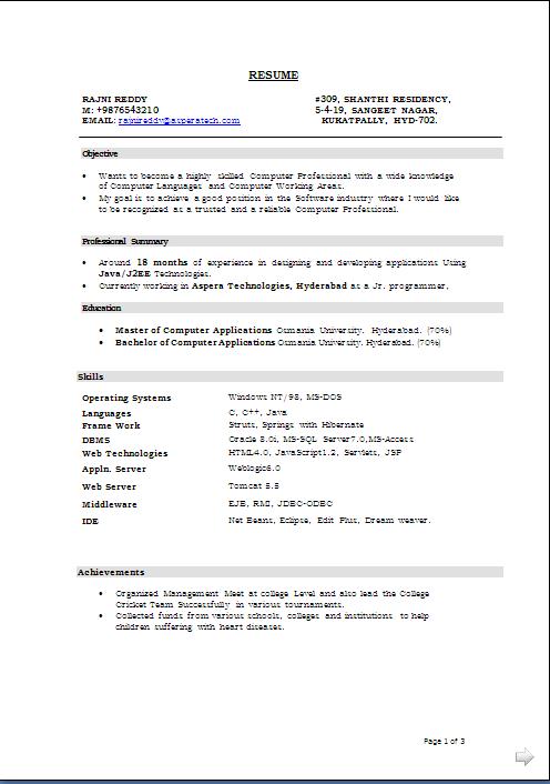 cv voorbeeld student free download