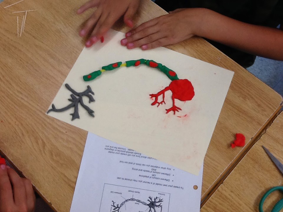 Welcome to Room 12: Science Lab - Making a Model of a Neuron