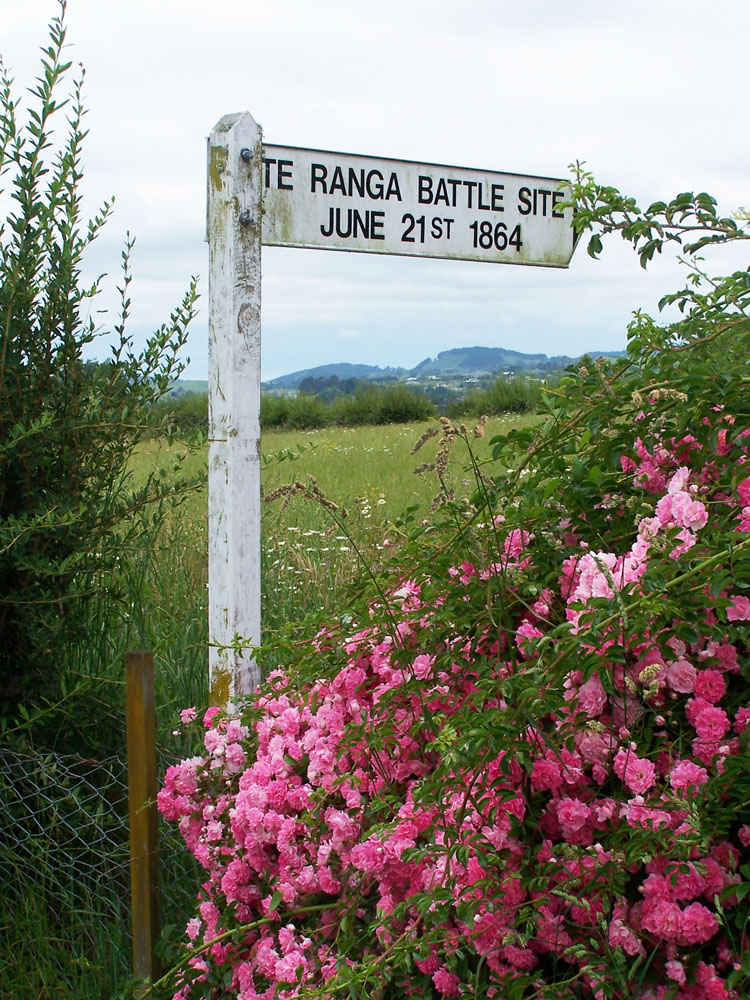 Photo-Sleuth: Fiennes Middleton Colvile & the 43rd Regiment of Foot in ...
