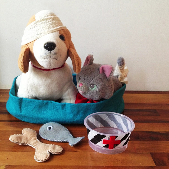 Queen Kwak: DIY: Play vet kit.