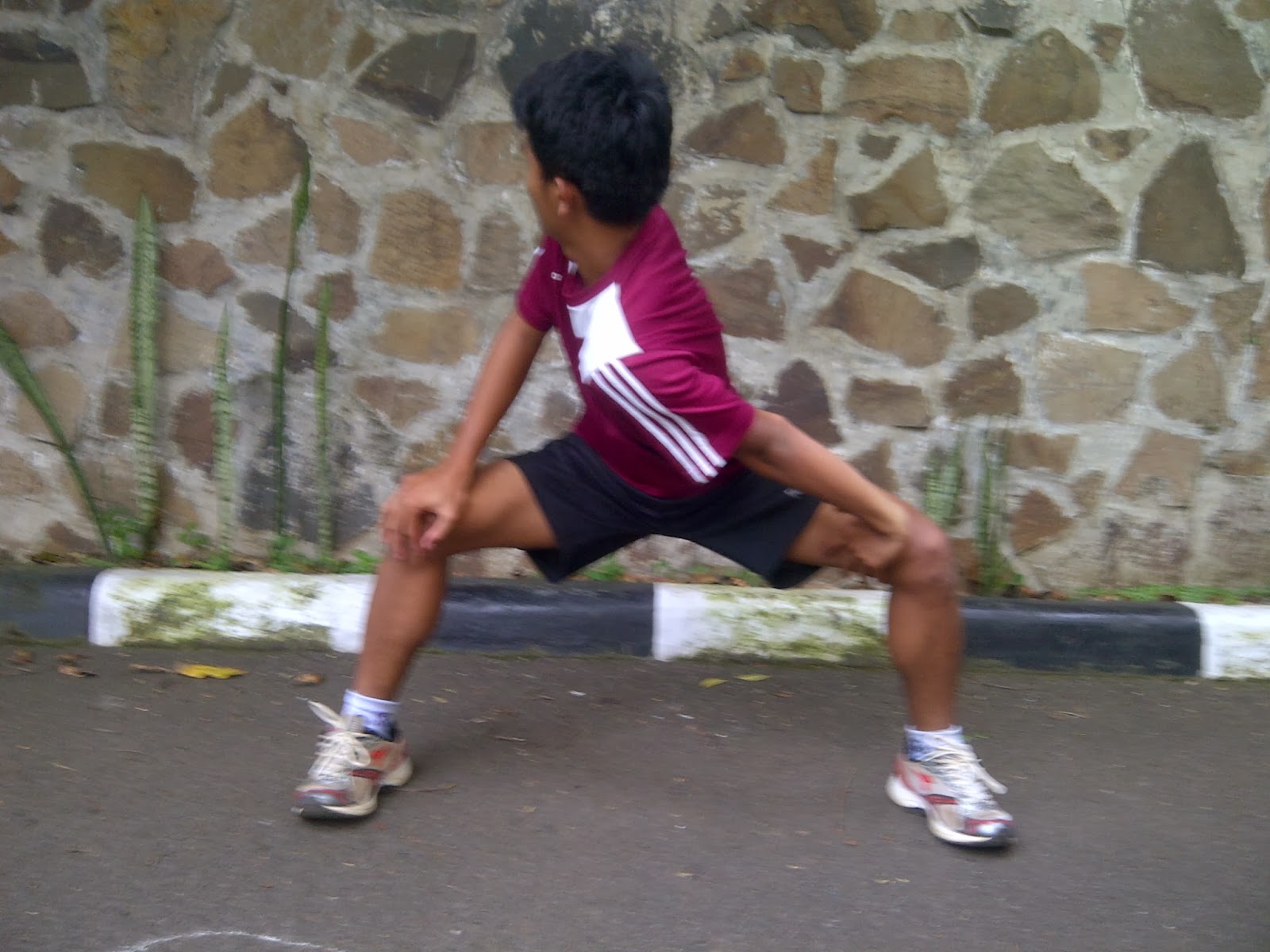 herdiansyah agus: PEREGANGAN STATIS AKTIF (ACTIVE STATIC STRETCHING)