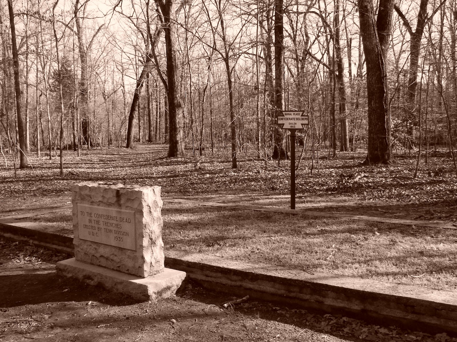 Our Country's Fiery Ordeal: Shiloh's Burial Trenches