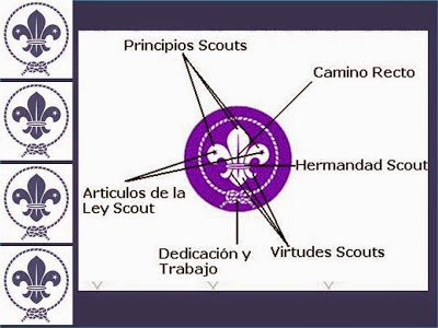 SCOUT: Signos Scout