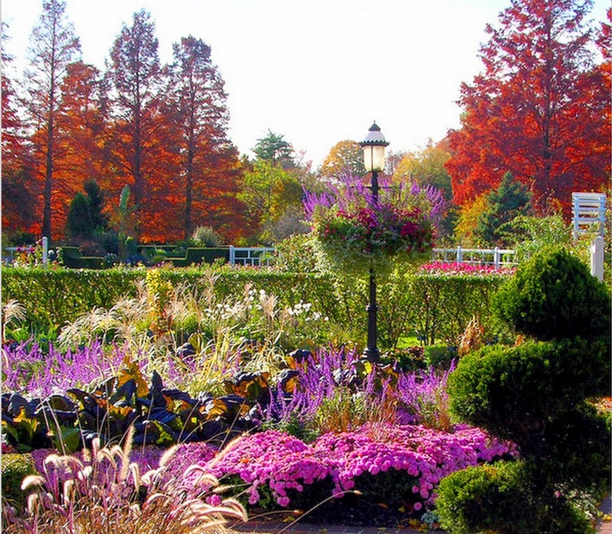 Coloridos paisajes - Imagui