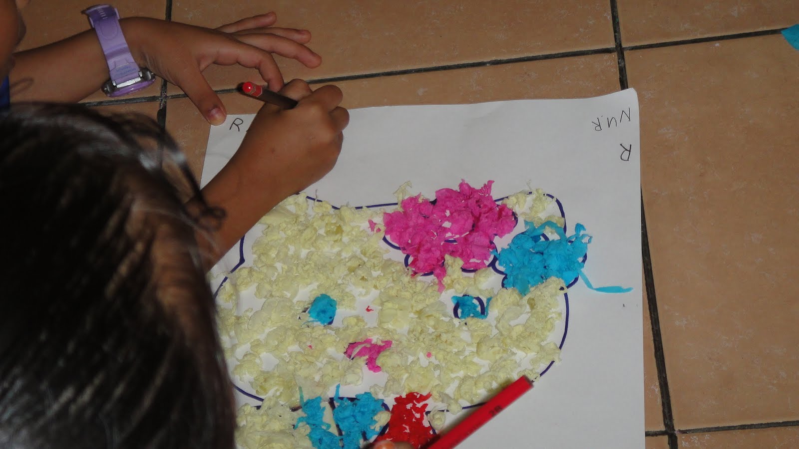 PRA SEKOLAH T.A II: KOLAJ KUCING ( HAIWAN PELIHARAAN)