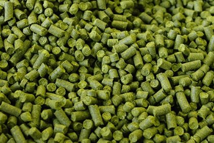 An Introduction to: Hops