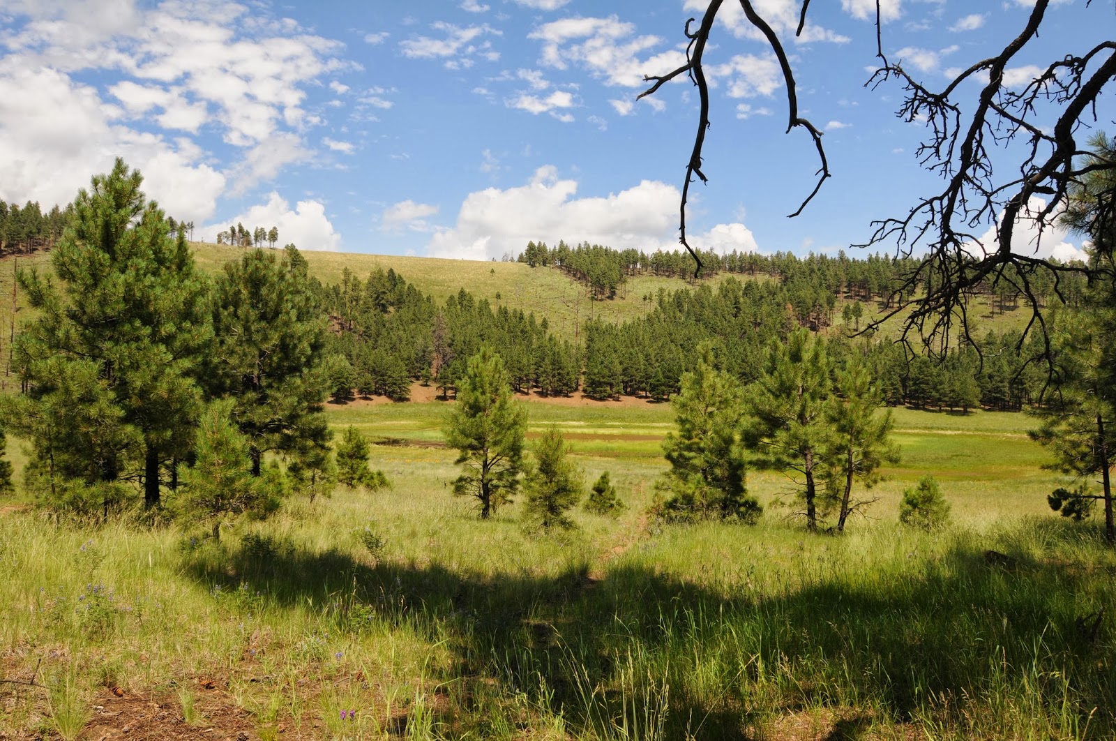 Arizona Hiking: WALKER LAKE