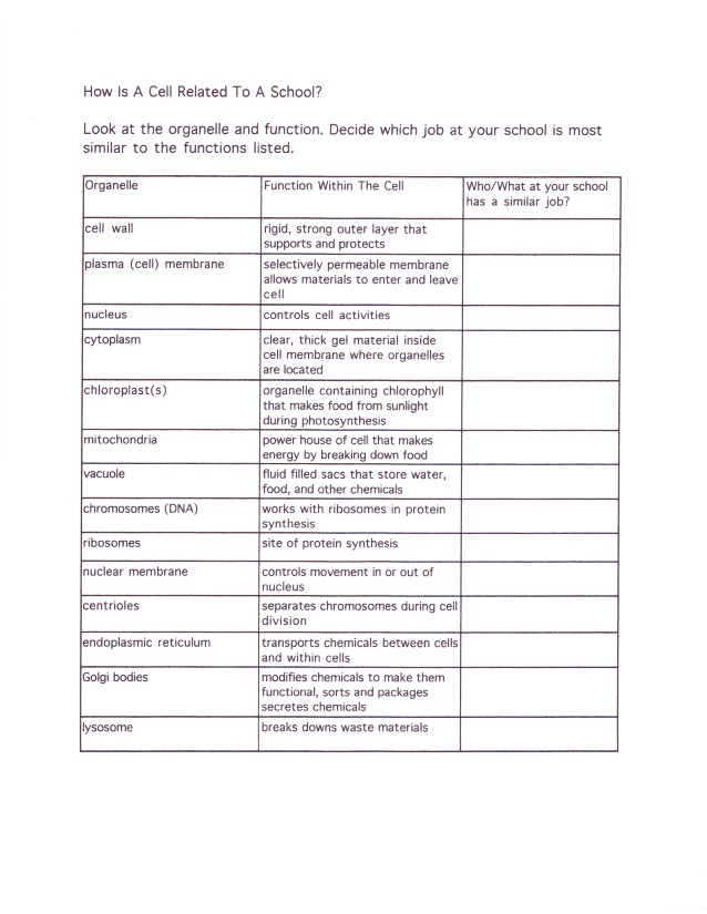 Dr. Gayden's Eighth Grade Science Class: March 2013