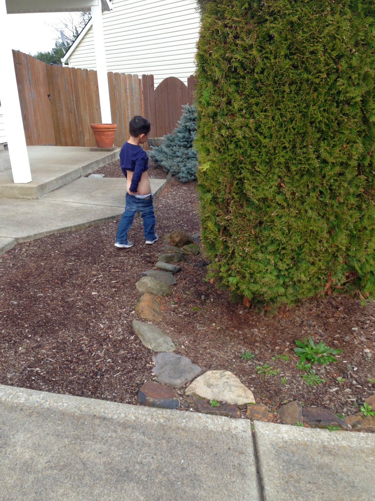 The Grimmett's: March 2014